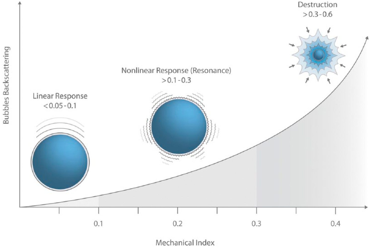 Ultrasound Contrast Agents: Enhancing Diagnostic Precision